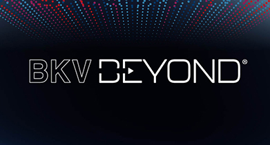 Machine Monitoring Solutions | B&K Vibro